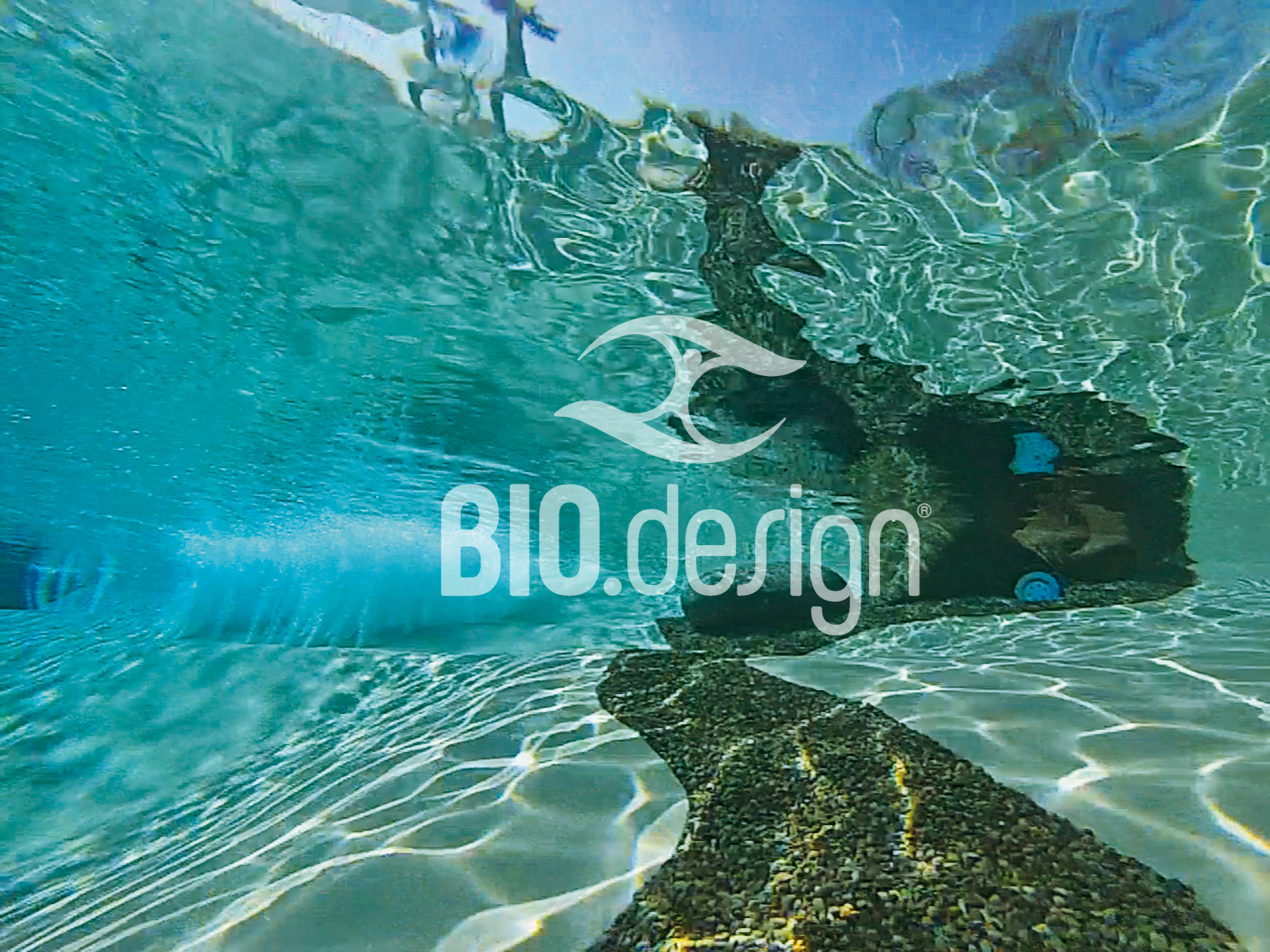 BIO.design Pool - Yasiflor GmbH Gartenbau